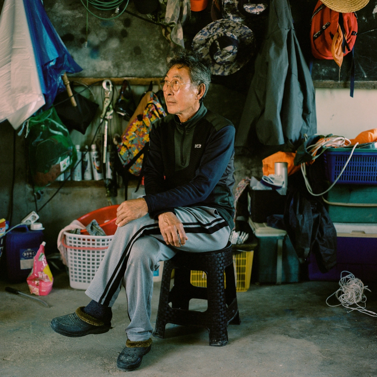 Extinction Forecast by KyeongJun Yang