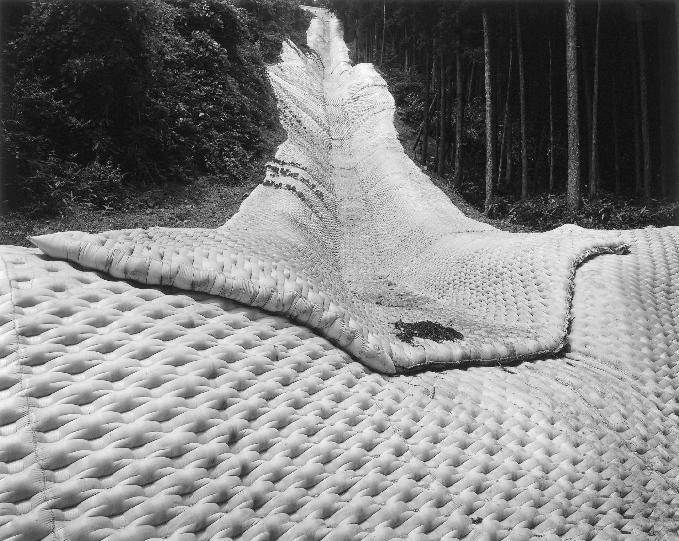 Selected Works by Toshio Shibata