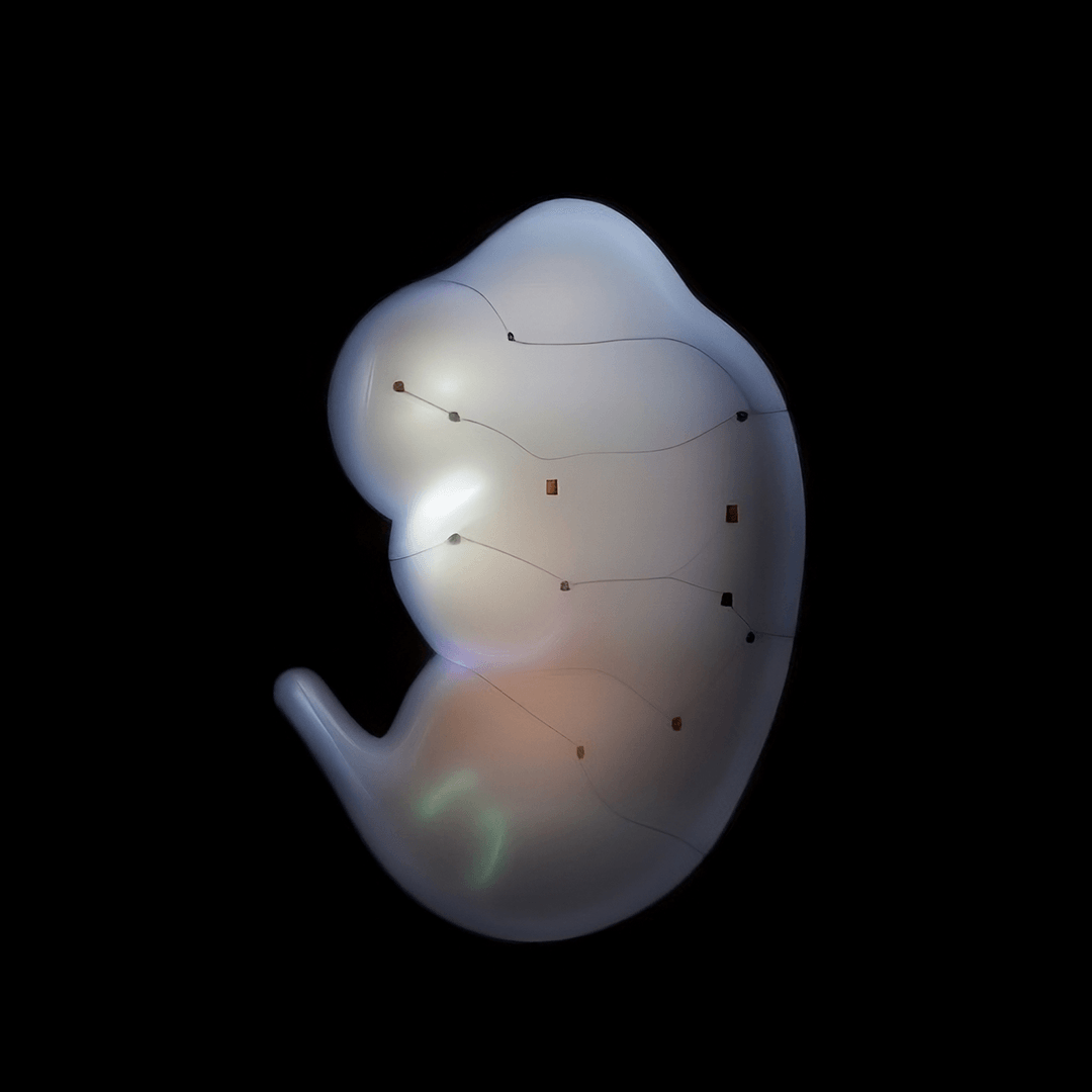 neo embryo:genesis by SYS™