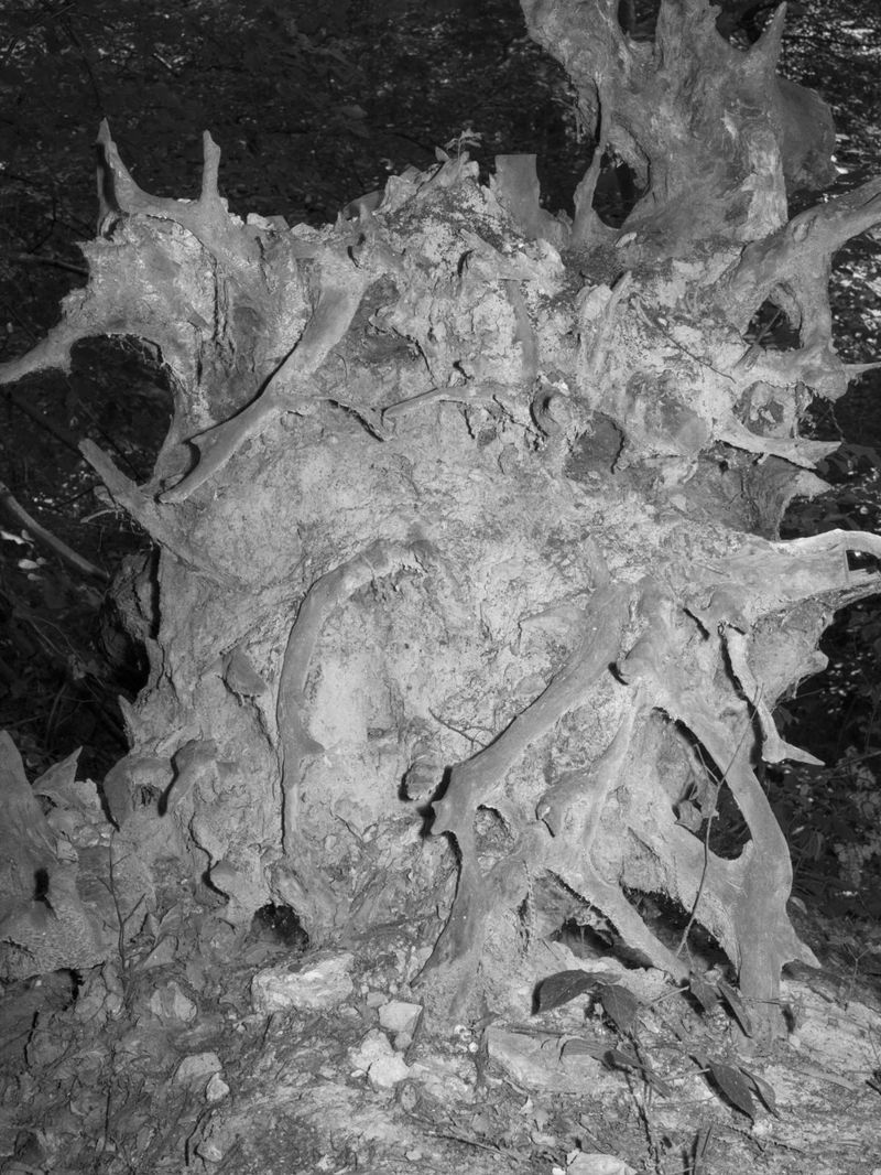 Ground Noise by Celine Clanet