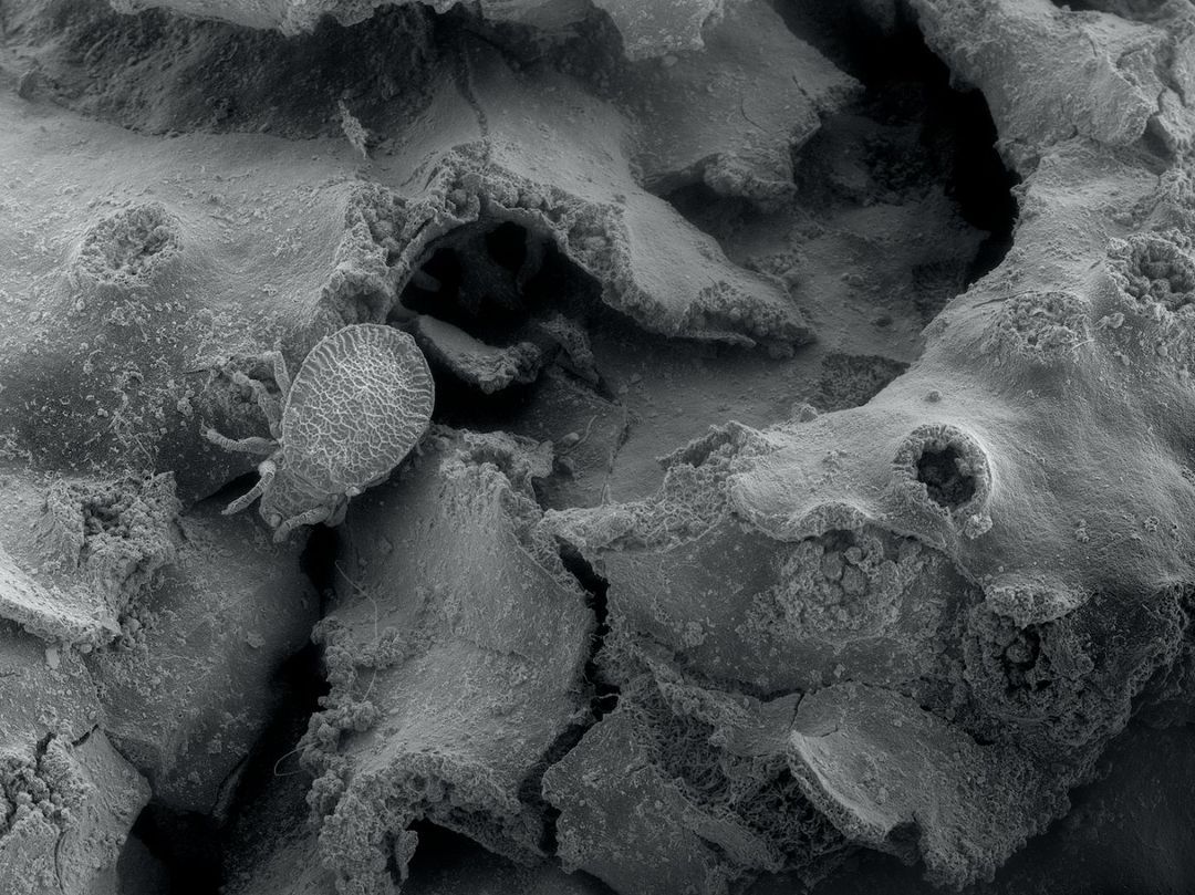 Ground Noise by Celine Clanet