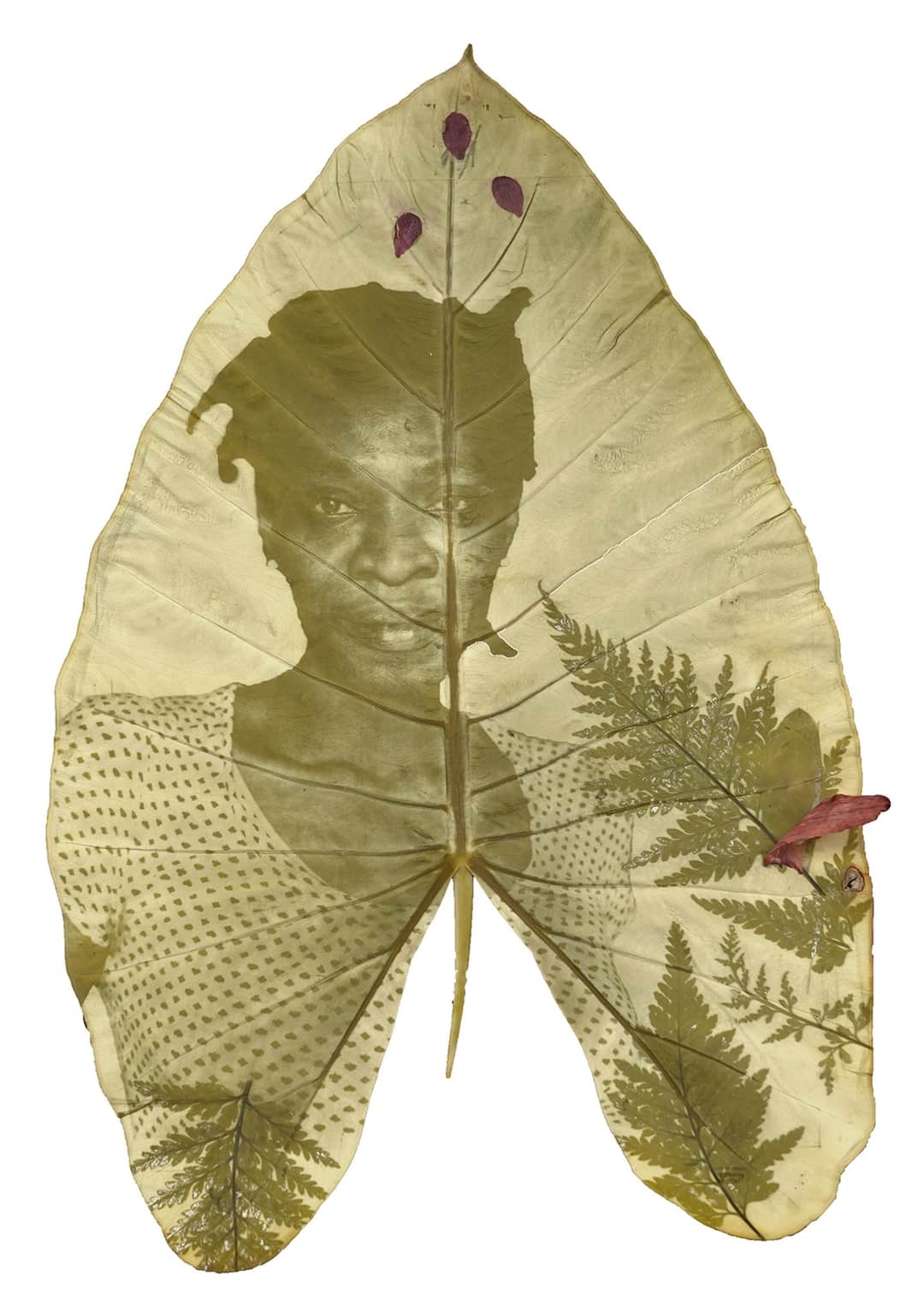 Dóra Papp Dóra Papp | Drifted Away