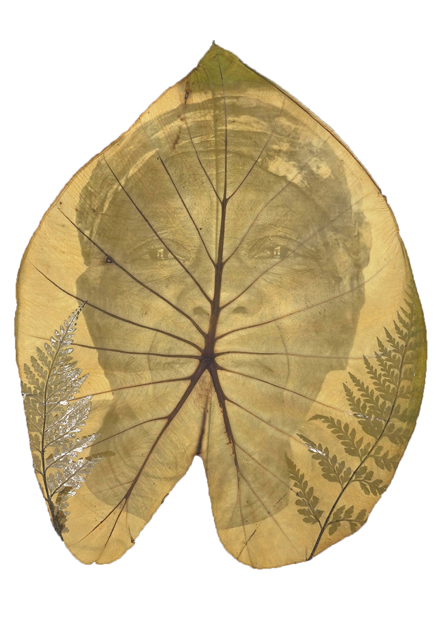 Dóra Papp Dóra Papp | Drifted Away