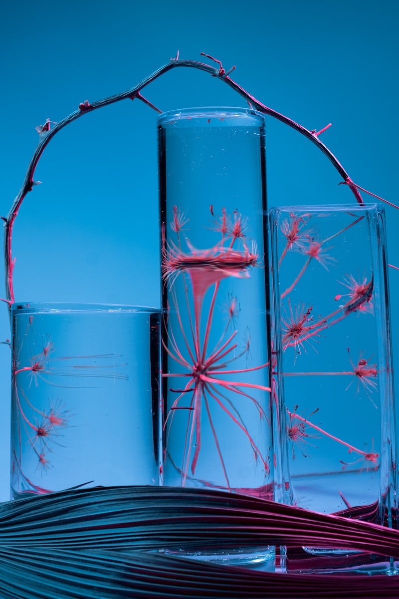 Artdoc Magazine - Online Exhibition - Experimental Photography