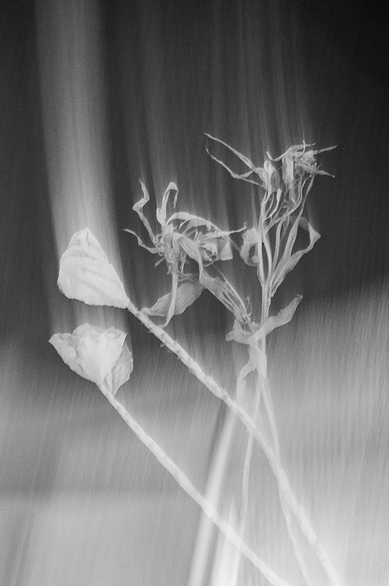 Artdoc Magazine - Online Exhibition - Lens Based Art