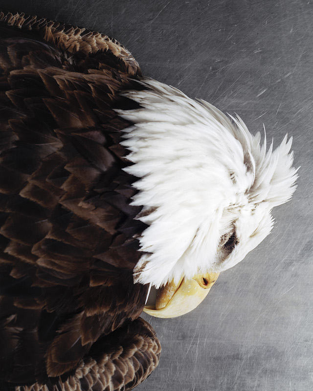 Artdoc Magazine - The Good Citizen, Benjamin Rasmussen