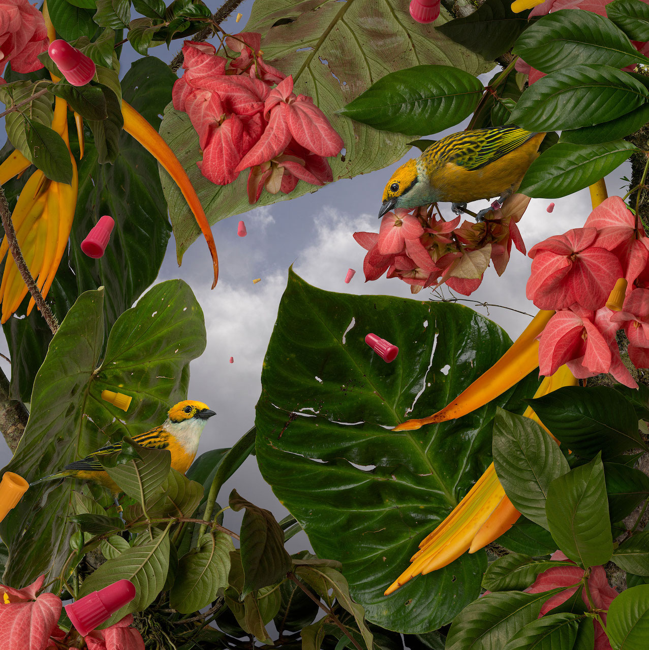 Artdoc Magazine - Jason DeMarte: Tangential