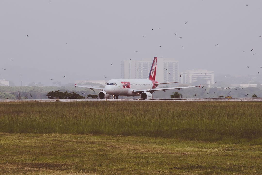 Rio de Janeiro Airport Guide: Comparisons + Features! [2022]