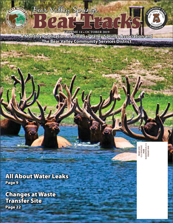 Bear Valley Springs Association Bear Tracks Magazine