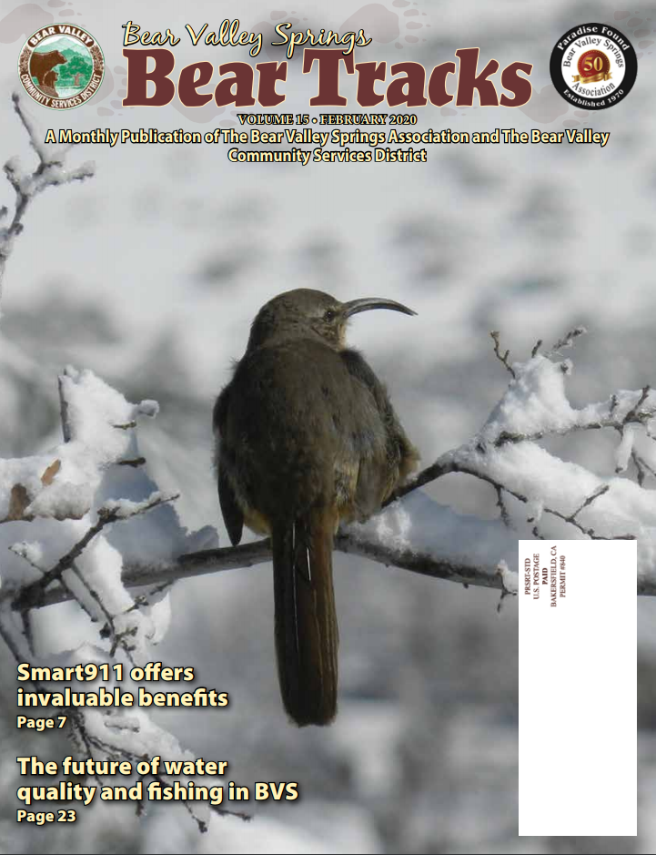 Bear Valley Springs Association Bear Tracks Magazine