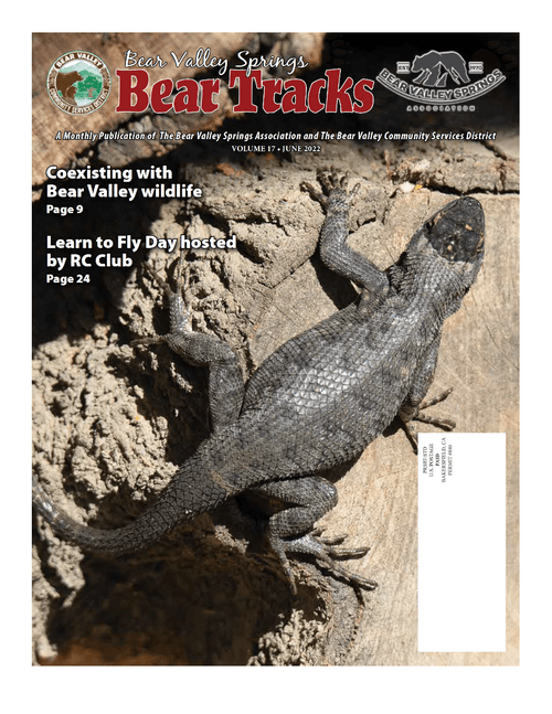Bear Valley Springs Association Bear Tracks Magazine