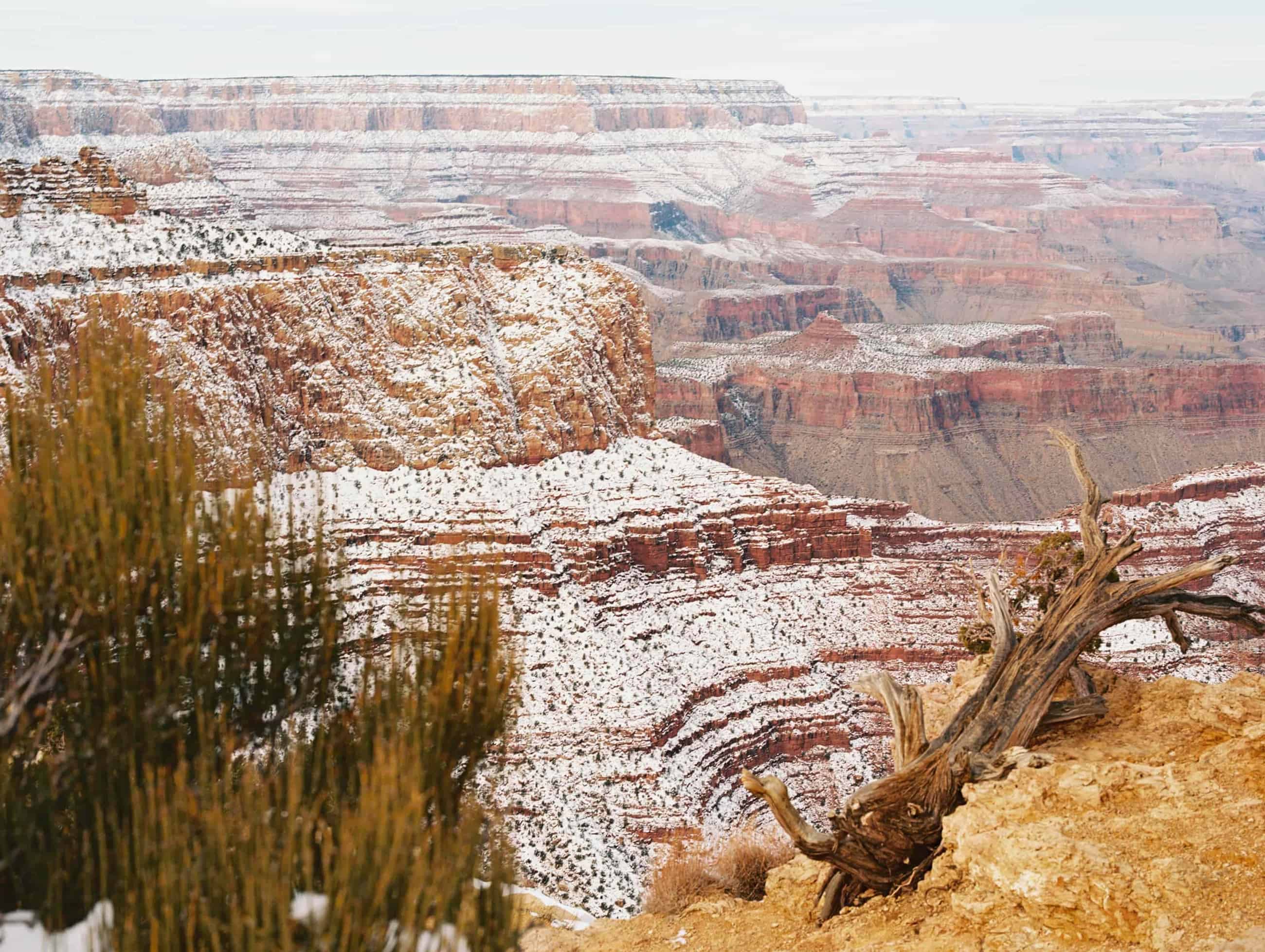 The Grand Canyon South Rim Guide: Best Places to Hike, Play, and Stay ...