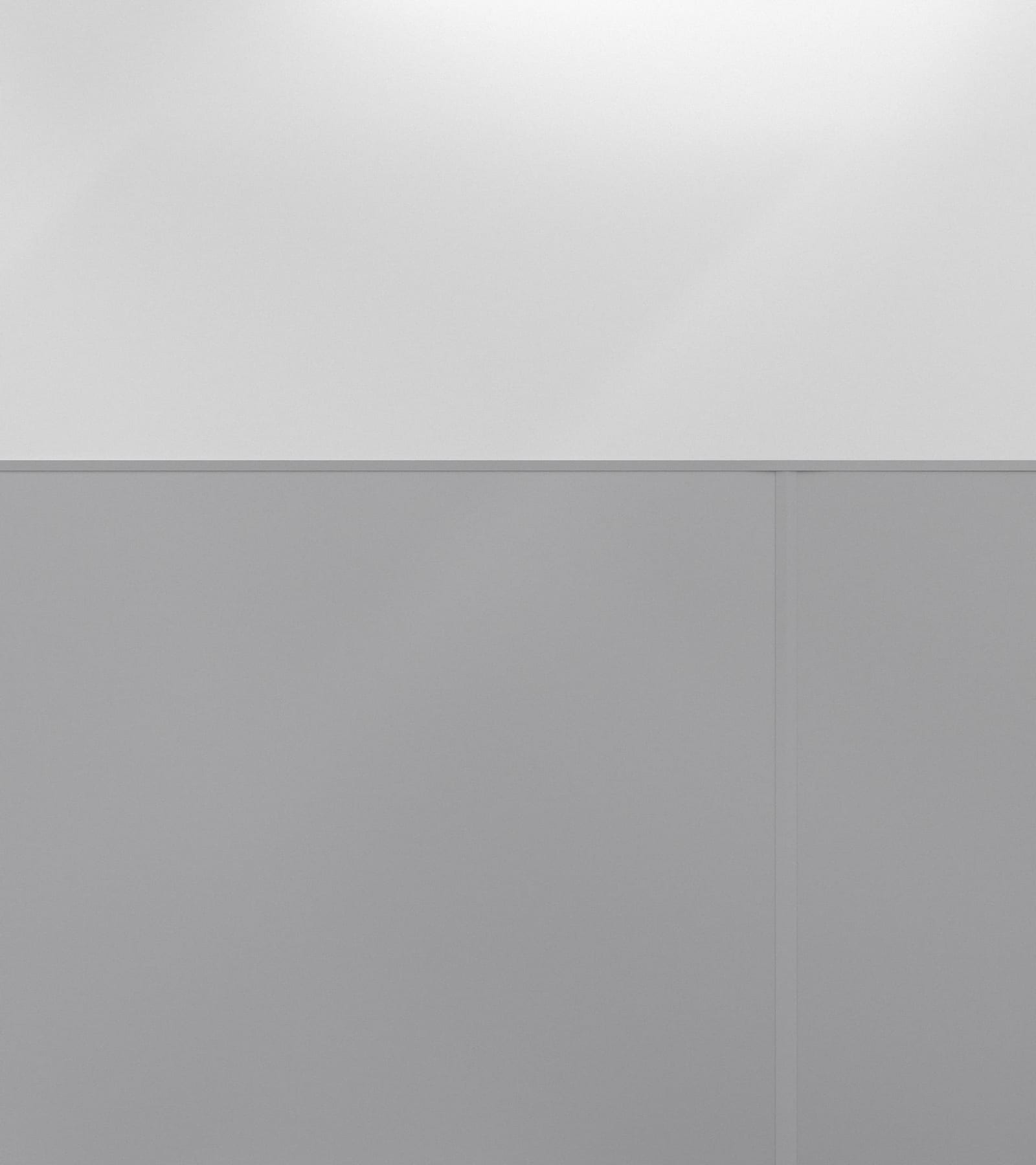 Wallprotex – Wall Protection Designer and Manufacturer