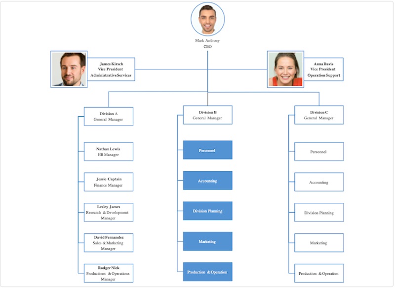 HR Organization Structure & Chart (Examples + Types) - SSR