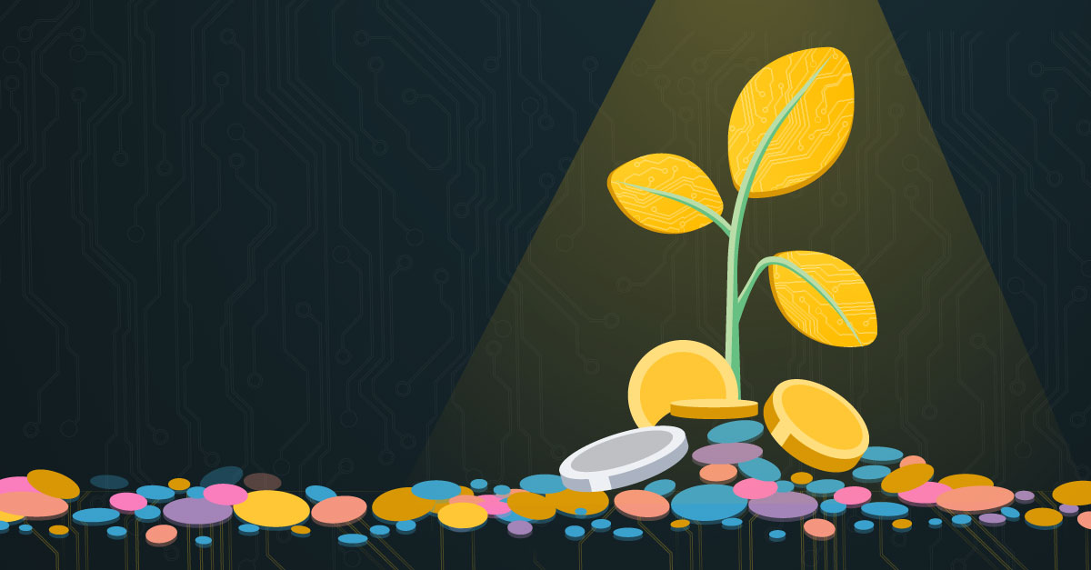 What is a Rug Pull? DeFi and Exit Scams Explained - Solidus blog