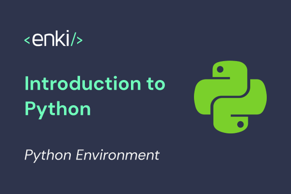 Enki | Blog - Python Environment