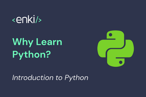 Enki | Blog - Why Learn Python?