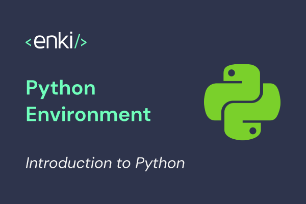 Enki | Blog - Python Environment