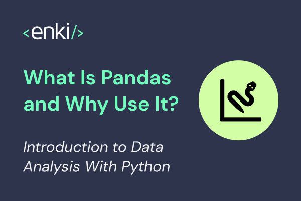 Enki | Blog - What Is Pandas and Why?