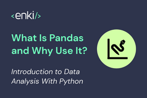 Enki | Blog - What Is Pandas and Why?