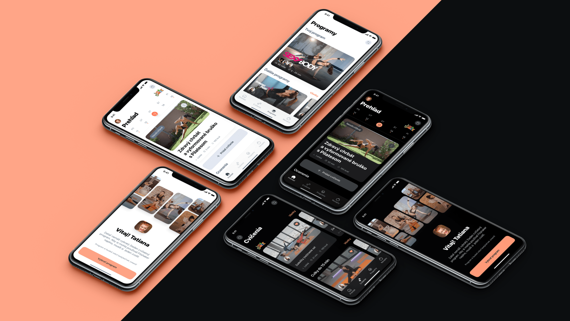 Fitshaker | GoodRequest