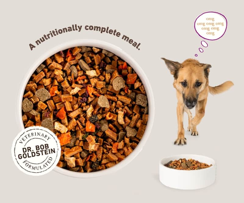 Wisdom® Dog Food | Earth Animal