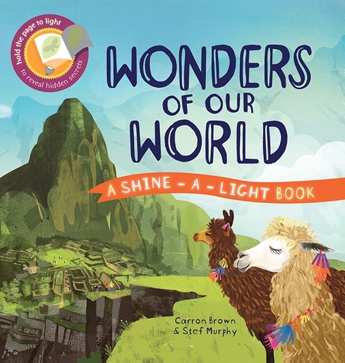 📚 Usborne Books & More Shine-a-Light Flashlight Books for Kids ...