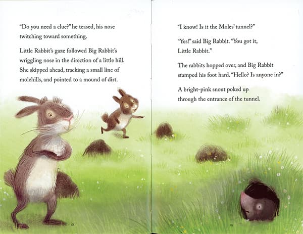 📚 USBORNE BOOKS & MORE™ | Little Rabbit's Big Surprise