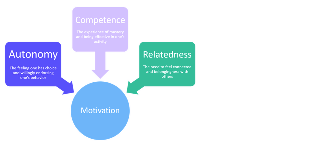 SDT | Self-Determination Theory by Richard Ryan,Edward Deci