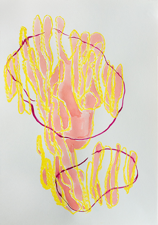 Shannon Zwicker
