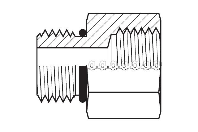 9120 - Male O-Ring Boss - Female BSPP