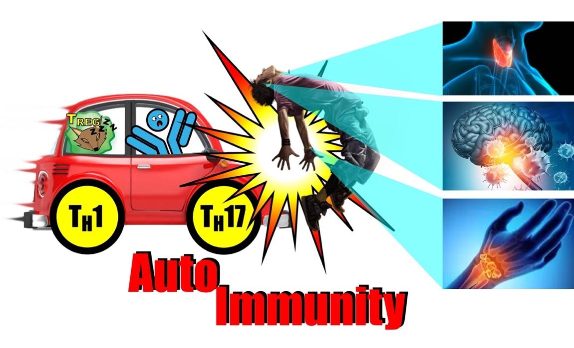 The Importance of Detecting Autoimmune Diseases During Preclinical and ...