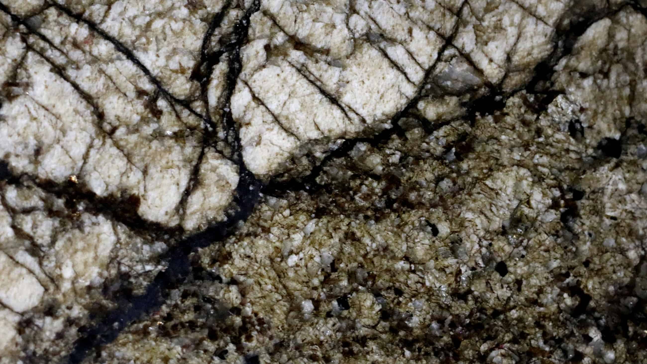 New York Stone | Coliseu Granite, Granite from Brazil