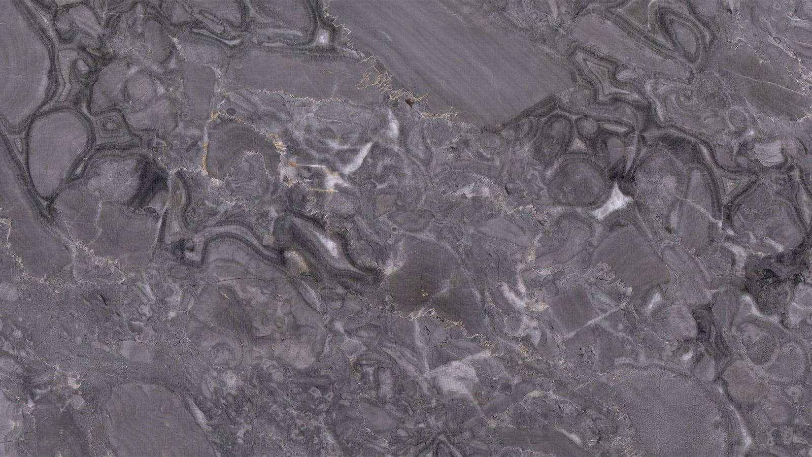 New York Stone | Fossil Grey Marble, Marble from Tunisia