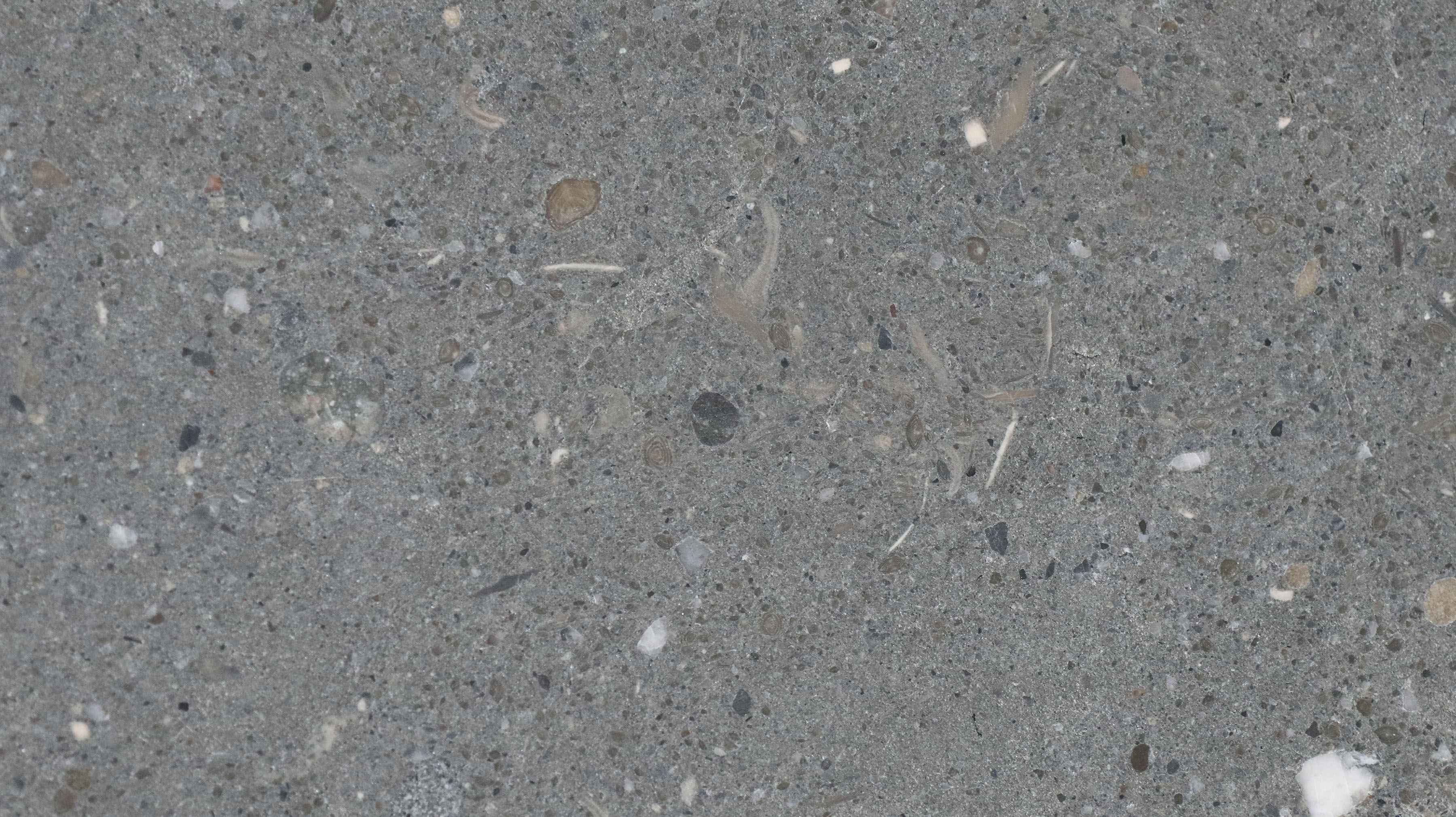 New York Stone | GRIS CONCRETE , Limestone from Spain