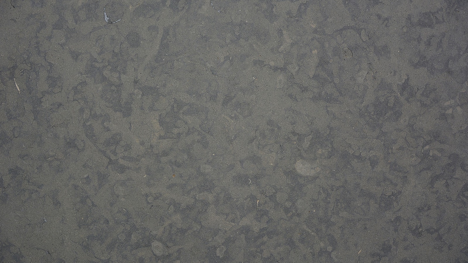 New York Stone | Azul Armani Limestone, Limestone from Spain