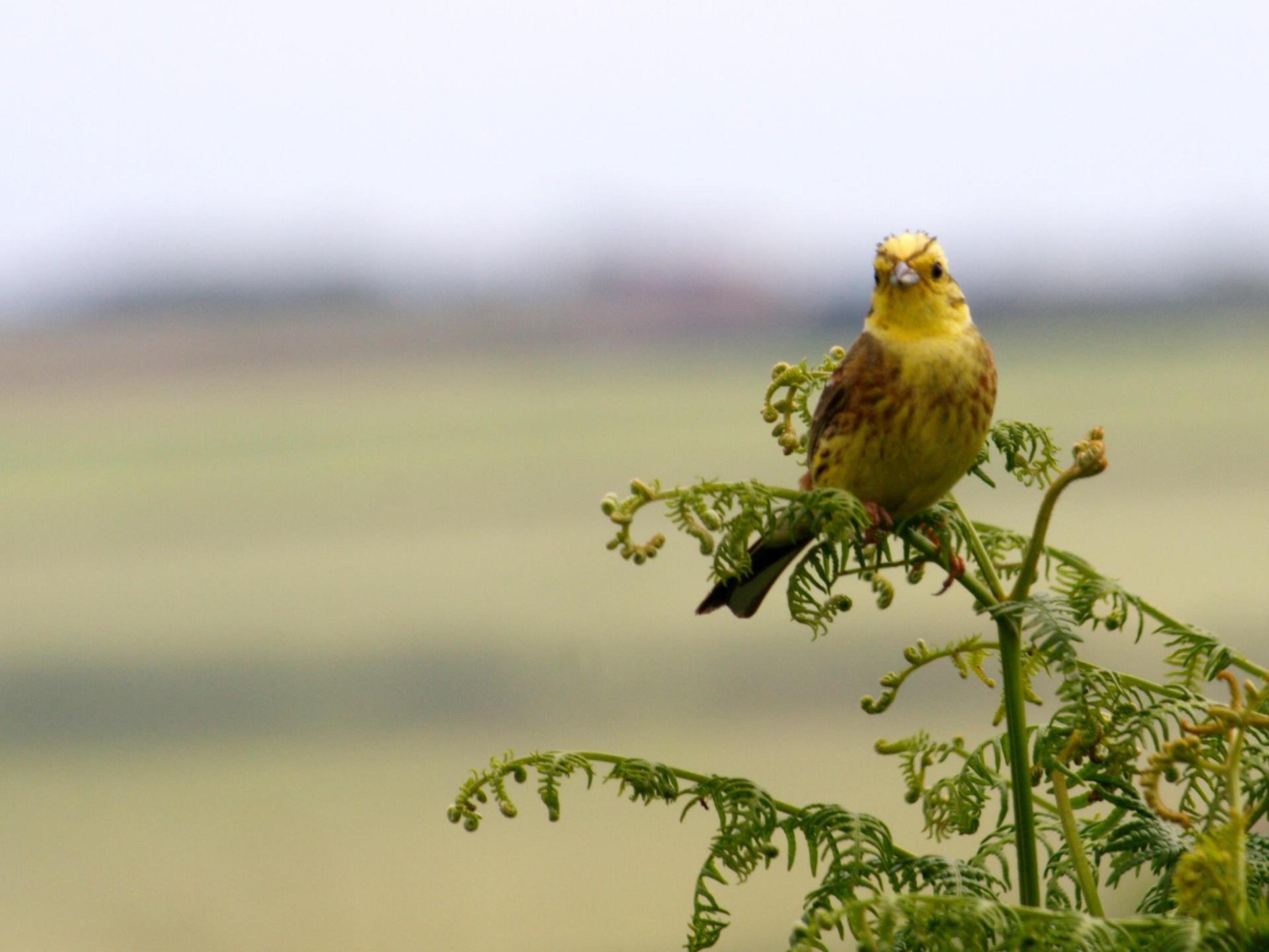 Visit Bridgend | Slade Farm Safari