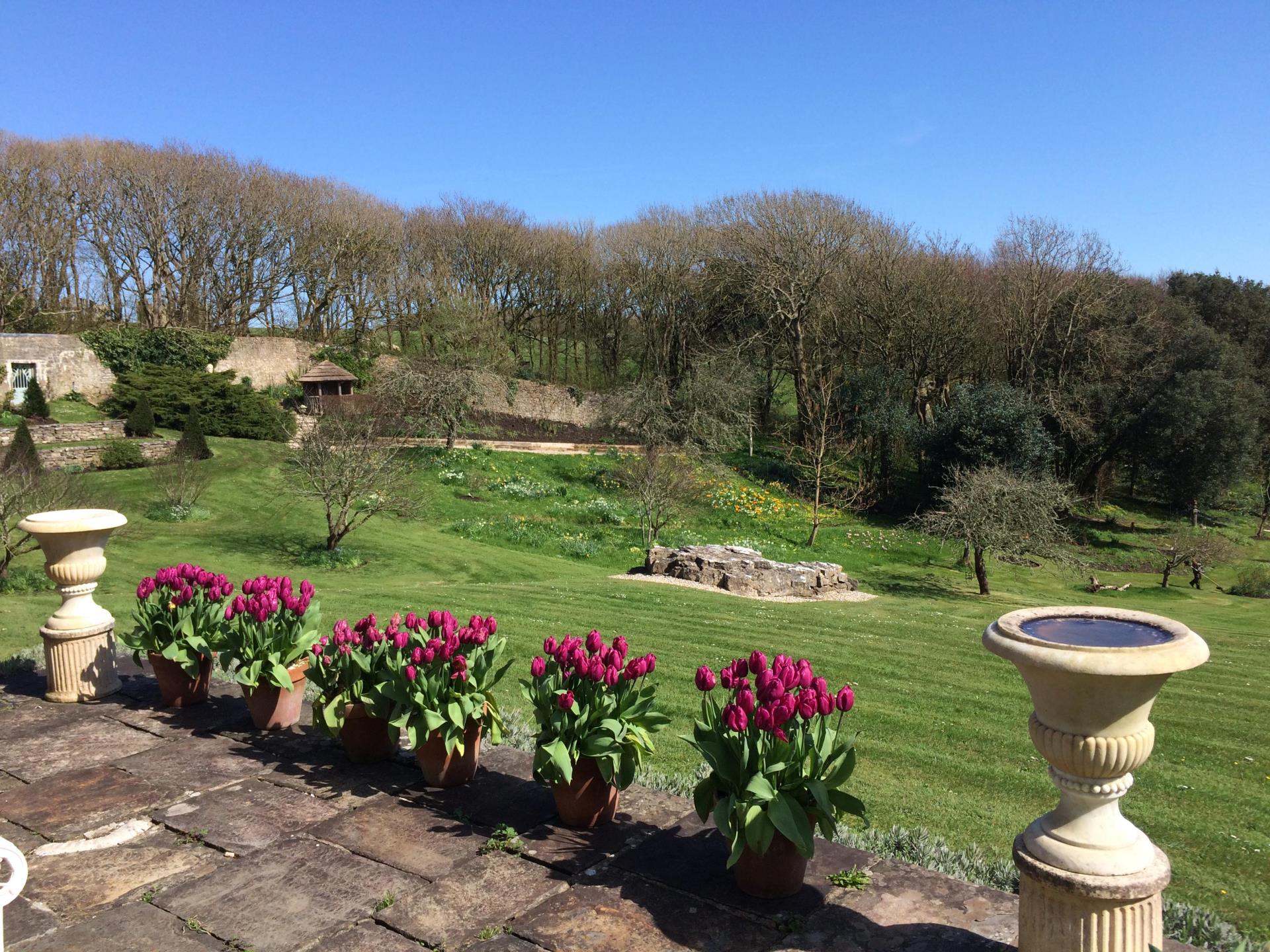 Visit Bridgend | Slade Farm Safari