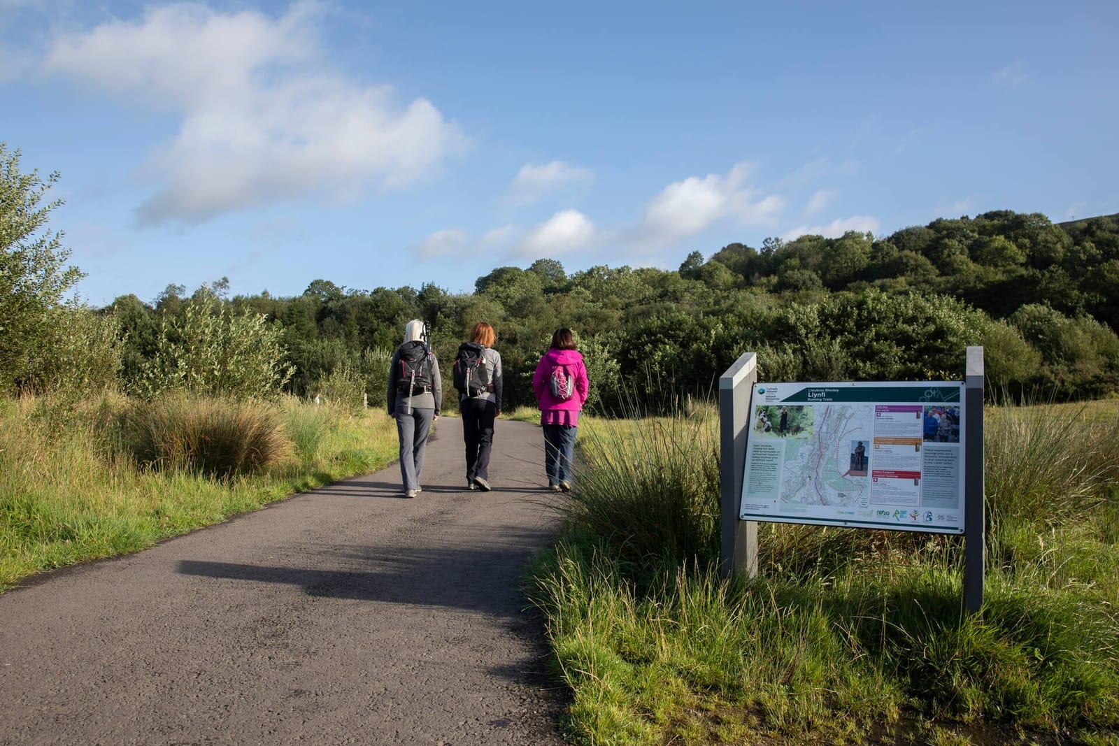 Visit Bridgend | Spirit of Llynfi Woodland