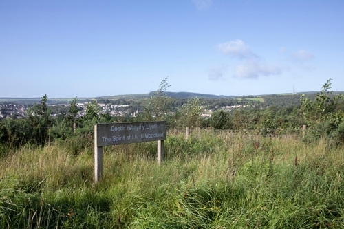 Visit Bridgend | Spirit of Llynfi Woodland