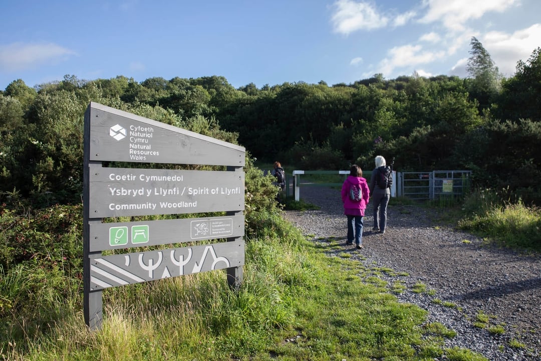 Visit Bridgend | Spirit of Llynfi Woodland