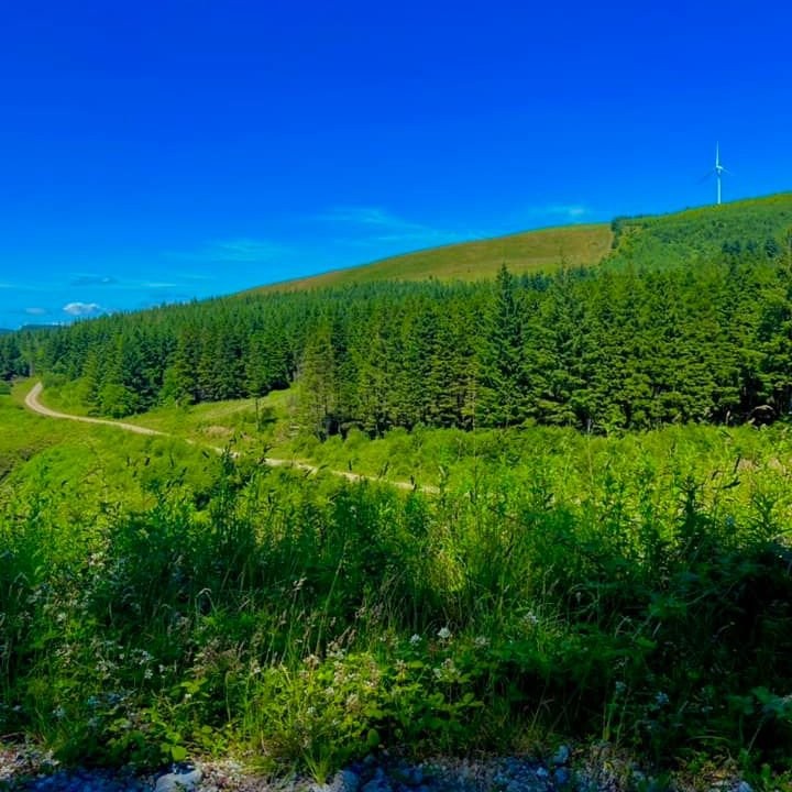 Visit Bridgend | A Local’s Guide to Llangynwyd