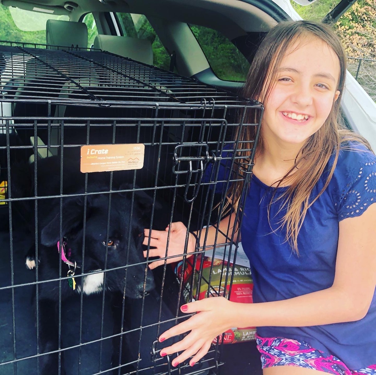 Birmingham Rises: Greater Birmingham Humane Society | About Town