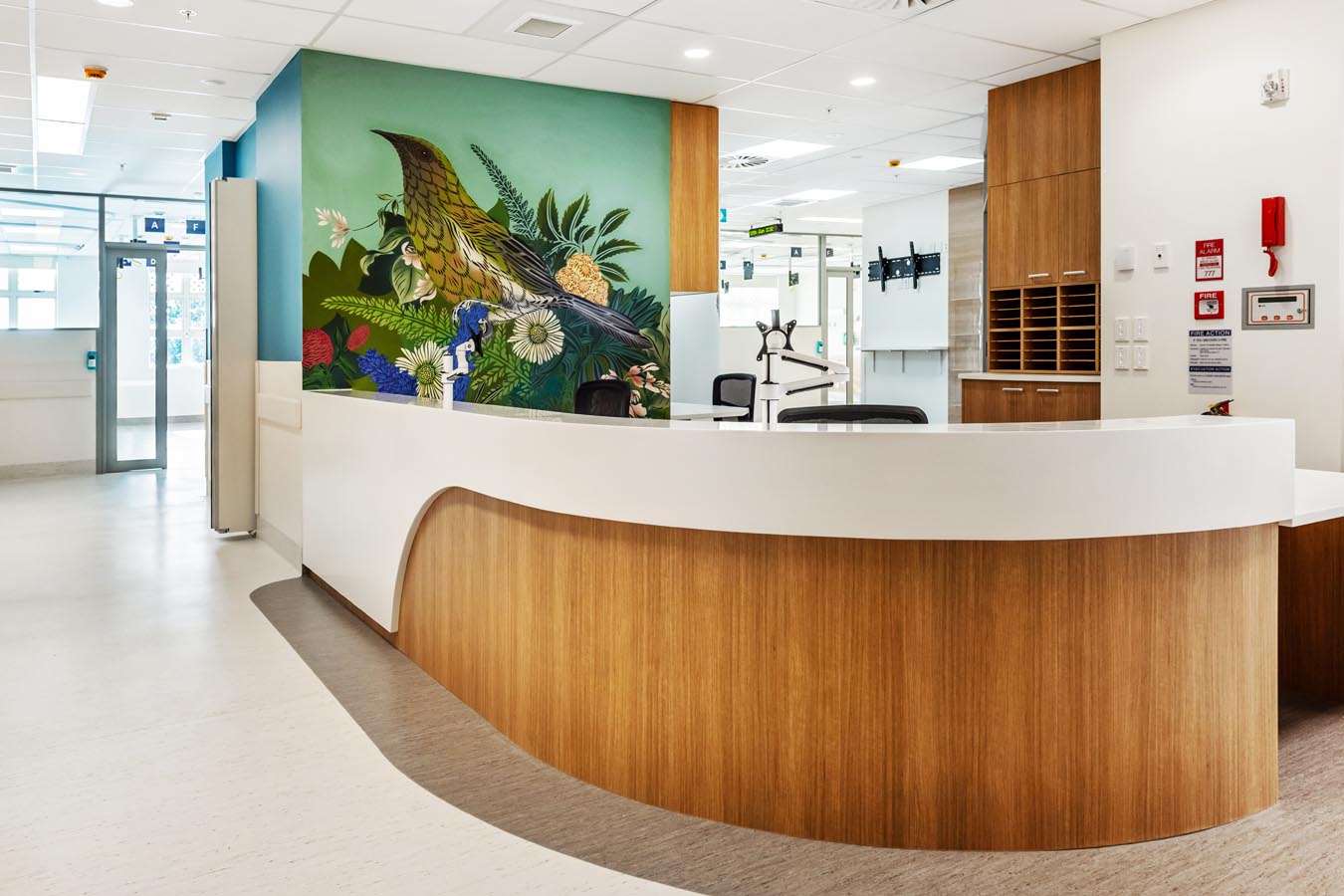 Starship Hospital Day Stay Unit | Health