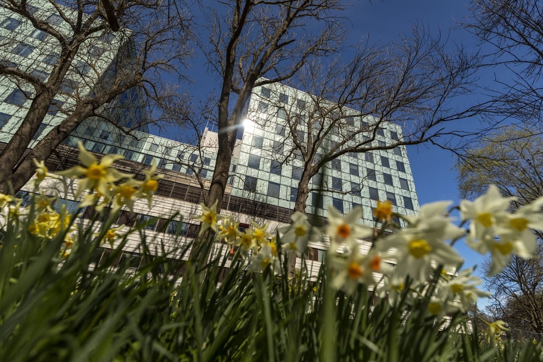 Collaborative Design Approach Creates Resilient Hospital | Insights