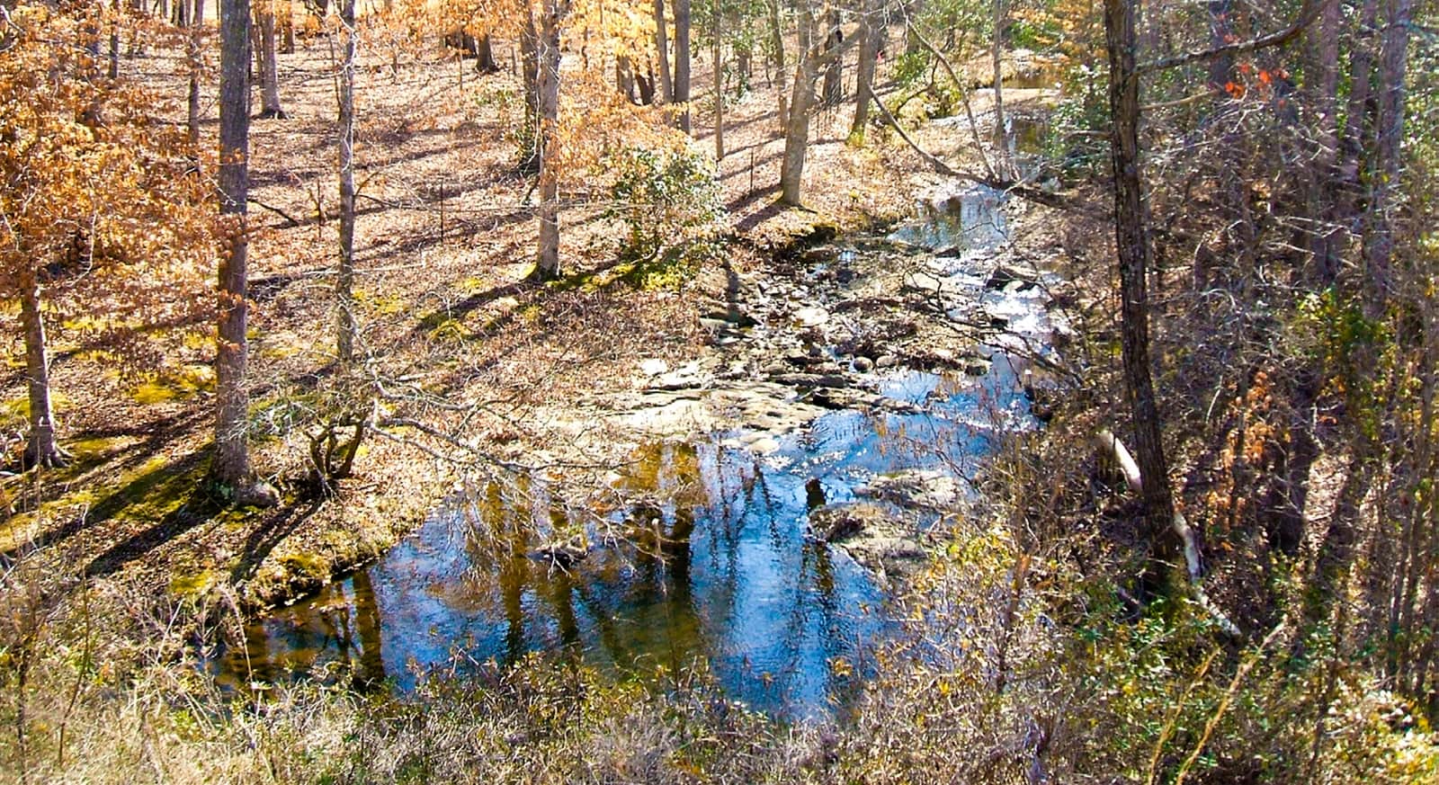 Watershed, Stream, Wetland, and Ecosystem Planning and Restoration ...