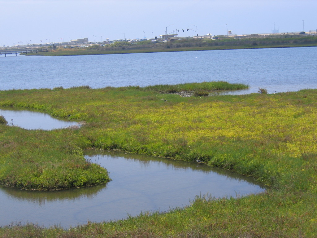 Watersheds, Rivers, Floodplains Solutions | moffatt & nichol