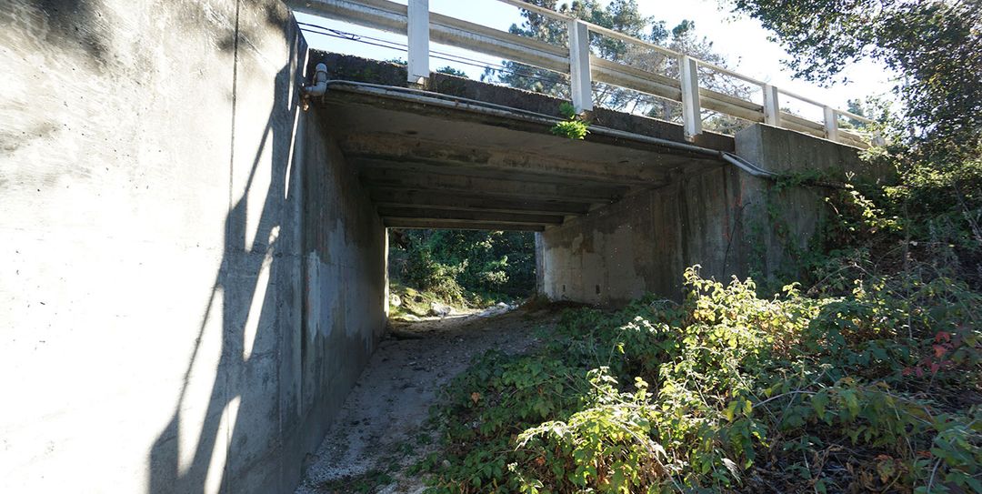 Bridges and Grade Separations Solutions | moffatt & nichol