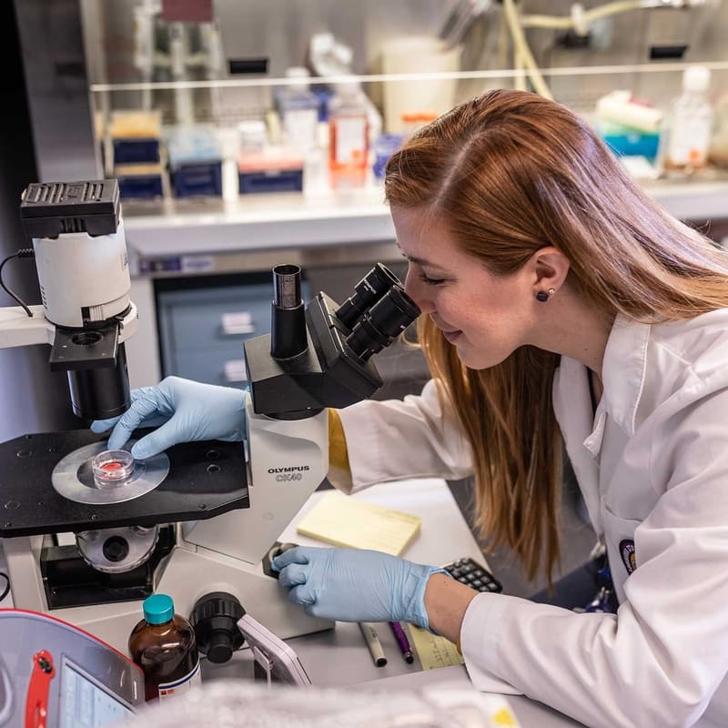 About | Louisiana Cancer Research Center