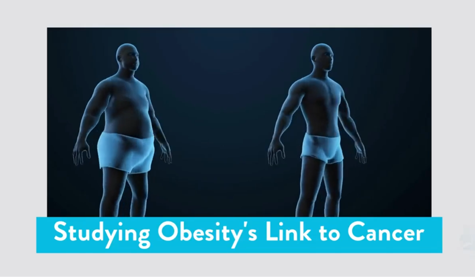 Obesity and Cancer Risk | Louisiana Cancer Research Center